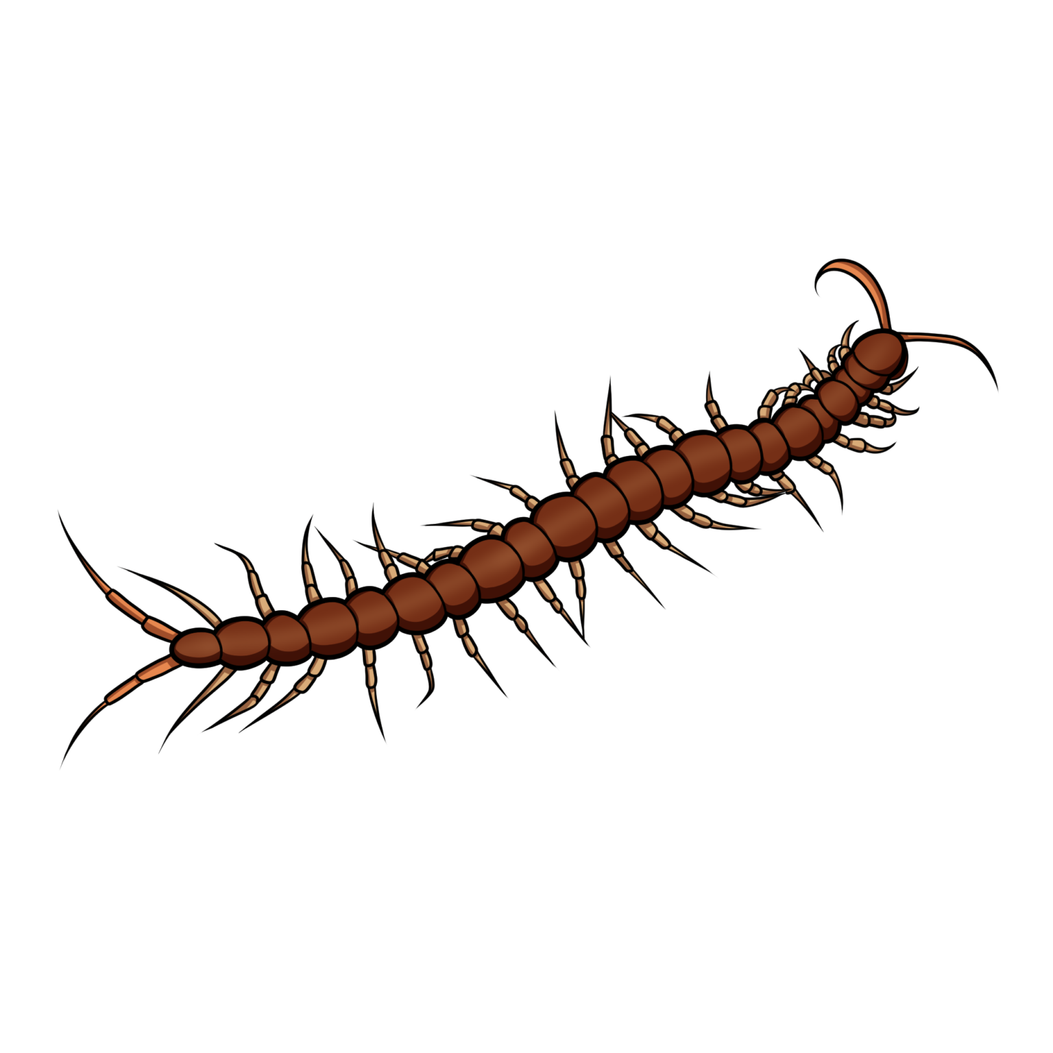 Duizendpoten bestrijden zonder gif